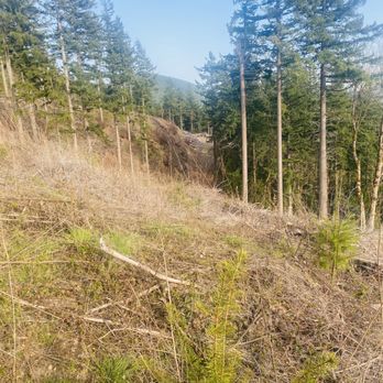 POO POO POINT - CHIRICO TRAIL - Updated July 2025 - 464 Photos & 163 ...