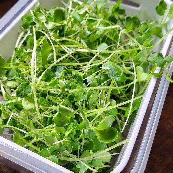 LAKE FIVE FARM - Updated June 2025 - N95W26383 County Rd Q, Colgate ...