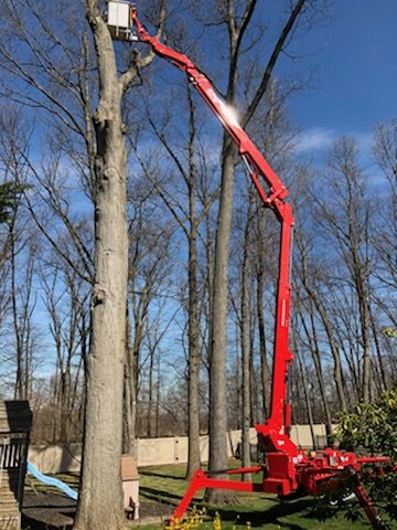 BIG FOOT TREE SERVICE - Updated August 2025 - 47 Photos & 16 Reviews ...