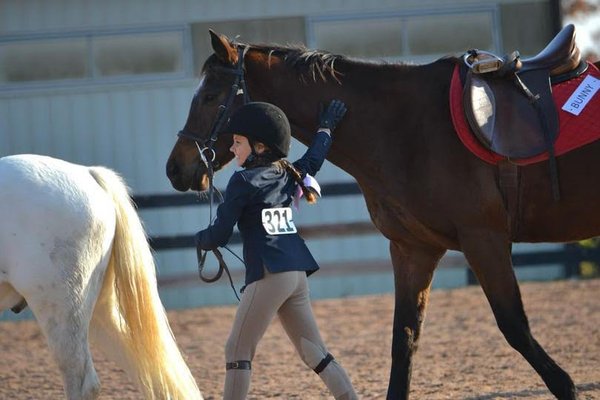 THE STABLES AT WULF CREST FARM - Updated November 2025 - Request ...