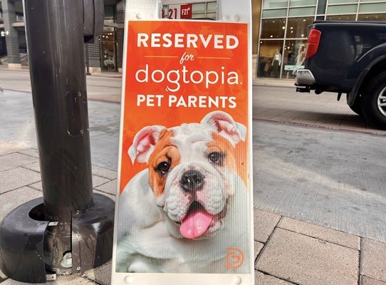 DOGTOPIA- PARK LANE - Updated October 2025 - 13 Photos - 8060 Park Ln ...