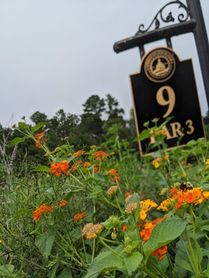 GOVERNORS TOWNE CLUB - Updated September 2024 - 195 Photos & 12 Reviews ...