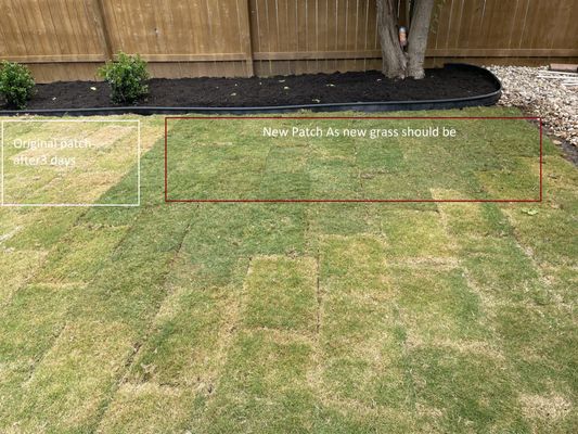 KING RANCH TURFGRASS - Updated October 2025 - 26 Photos & 65 Reviews ...