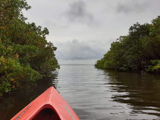 TOCOBAGA TOURS - Updated June 2026 - 17 Photos & 10 Reviews - 105 N ...