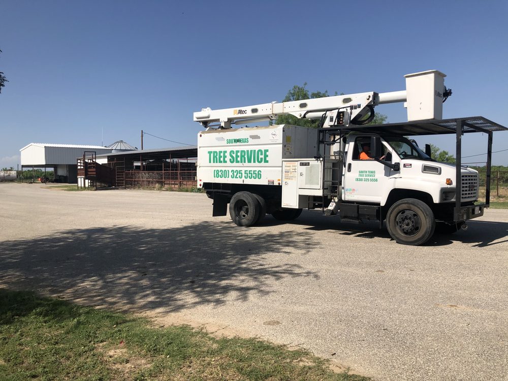 SOUTH TEXAS TREE SERVICE - Updated March 2024 - Quemado, Texas - Tree ...