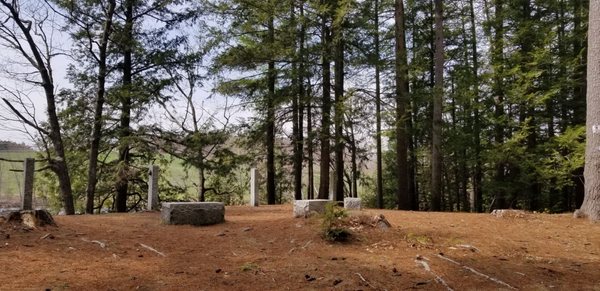 DAVID RANCOURT RIVER PRESERVE - Updated May 2025 - 14 Photos - Tall ...