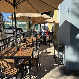 CALICO CACTUS - Updated December 2025 - 119 Photos & 68 Reviews - 833 S ...