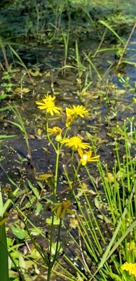 PYRAMID STATE PARK - Updated December 2024 - 1562 Pyramid Park Rd ...