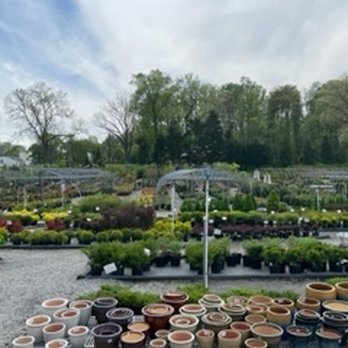 SUN NURSERIES - Updated October 2025 - 29 Photos & 57 Reviews - 14790 ...