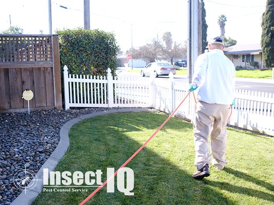 INSECT IQ - Updated March 2025 - 42 Photos & 133 Reviews - 406 Motor ...
