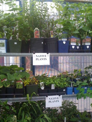 FIESTA GARDENS - Updated January 2026 - 11 Reviews - 200 Christie ...