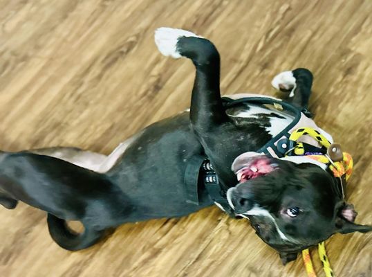 CARE STL - Updated January 2026 - 41 Photos & 15 Reviews - 2700 Walnut ...