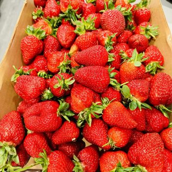 MILLER FARMS - Updated June 2025 - 300 Photos & 231 Reviews - 10140 ...