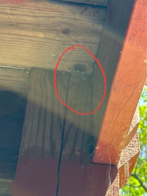 ARTERIX PEST CONTROL - Updated December 2025 - 36 Photos & 223 Reviews ...