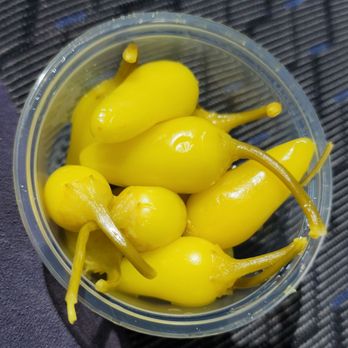 PERRY’S PLACE - Updated July 2025 - 68 Photos & 74 Reviews - 4477 East ...