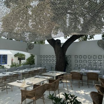 YAMAS GREEK KITCHEN + BAR - Updated July 2024 - 474 Photos & 227 ...