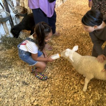 MUSCOOT FARM - Updated December 2025 - 186 Photos & 47 Reviews - 51 Rt ...