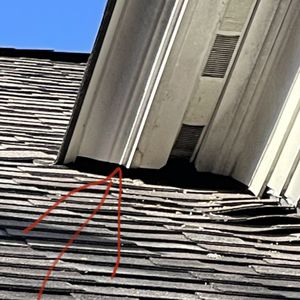 FOWLER AND SONS TERMITE & PEST CONTROL - Updated December 2025 - 11 ...