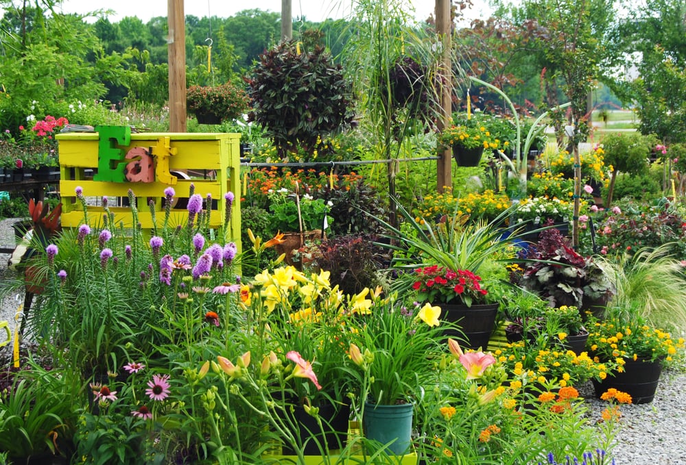 SMARTY PLANTS - Updated October 2025 - 2602 Gordon Terry Pkwy, Decatur ...