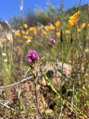 BLUE SKY ECOLOGICAL RESERVE - Updated December 2025 - 528 Photos & 64 ...