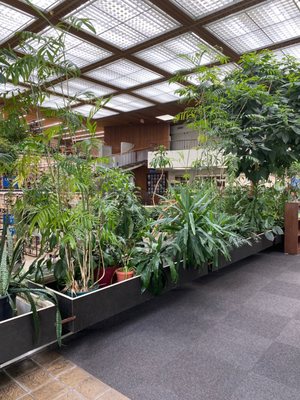 DOWNTOWN RENO LIBRARY - Updated May 2025 - 84 Photos & 35 Reviews - 301 ...