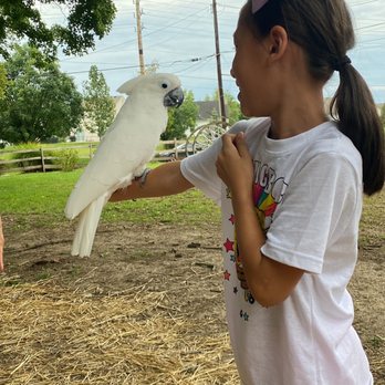 CITY RANCH - Updated October 2025 - 30 Photos - 10884 E County Road 100 ...