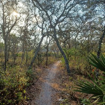 LITTLE BIG ECON STATE FOREST - Updated June 2025 - 171 Photos & 25 Reviews - 1350 Snow Hill Rd ...