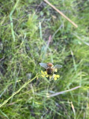 RIVERBOTTOM PARK - Updated October 2025 - 16 Photos - Fresno ...