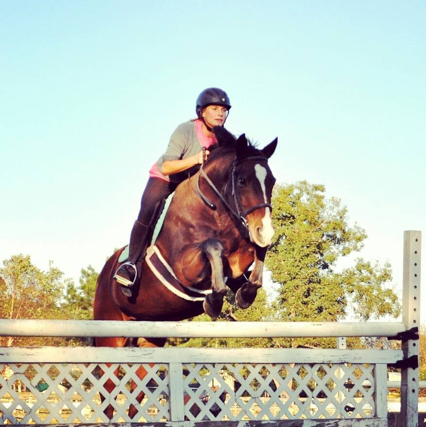 KAREDON FARM EQUESTRIAN CENTER - Updated December 2025 - 4530 Ayden ...