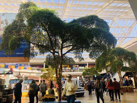 PARAMUS PARK - 71 Photos & 100 Reviews - Shopping Centers - 700 Paramus ...