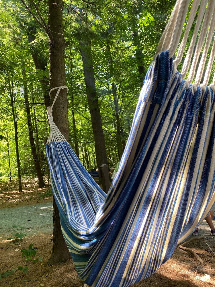 WILGUS STATE PARK - Updated December 2025 - 12 Photos - 3985 Rte 5 ...