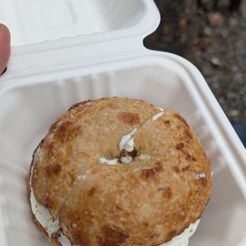 APOLLO BAGELS - Updated July 2025 - 556 Photos & 324 Reviews - 242 E ...