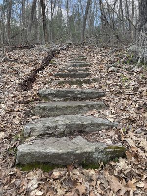 BEN UTTER TRAIL - Updated August 2025 - 89 Photos & 15 Reviews - Exeter ...