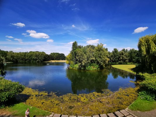 FREIZEITPARK RHEINAUE - Updated January 2025 - 45 Photos & 30 Reviews ...