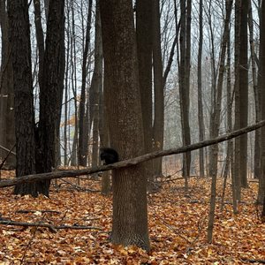 BRIGHTON STATE RECREATION AREA - Updated April 2025 - 30 Photos & 24 ...