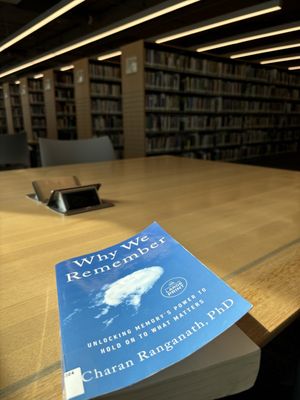 NORTH YORK CENTRAL LIBRARY - Updated December 2025 - 44 Photos & 37 ...