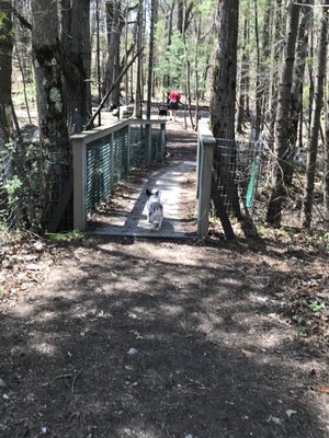 QUARRY RUN DOG PARK - 27 Photos & 18 Reviews - Hiking - 1026 Ocean Ave ...