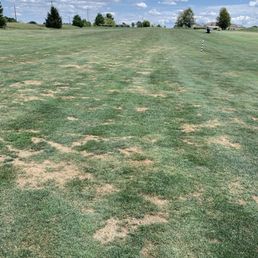 FIDDLER’S AT MAYAPPLE GOLF COURSE - Updated December 2025 - 90 Photos ...