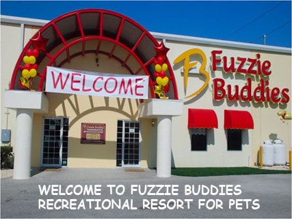 BAY PAWS PET RESORT - Updated October 2025 - 47 Photos & 66 Reviews ...