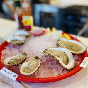 BIG SHUCKS OYSTER BAR - Updated January 2026 - 267 Photos & 340 Reviews ...