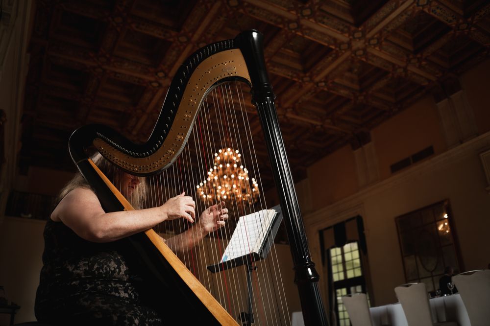 HARPIST LISA - Updated December 2024 - 15 Photos - Fort Lauderdale ...