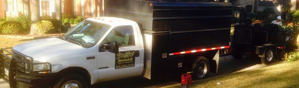 STICKS TREE SERVICE - Updated November 2024 - 43 Photos & 11 Reviews ...