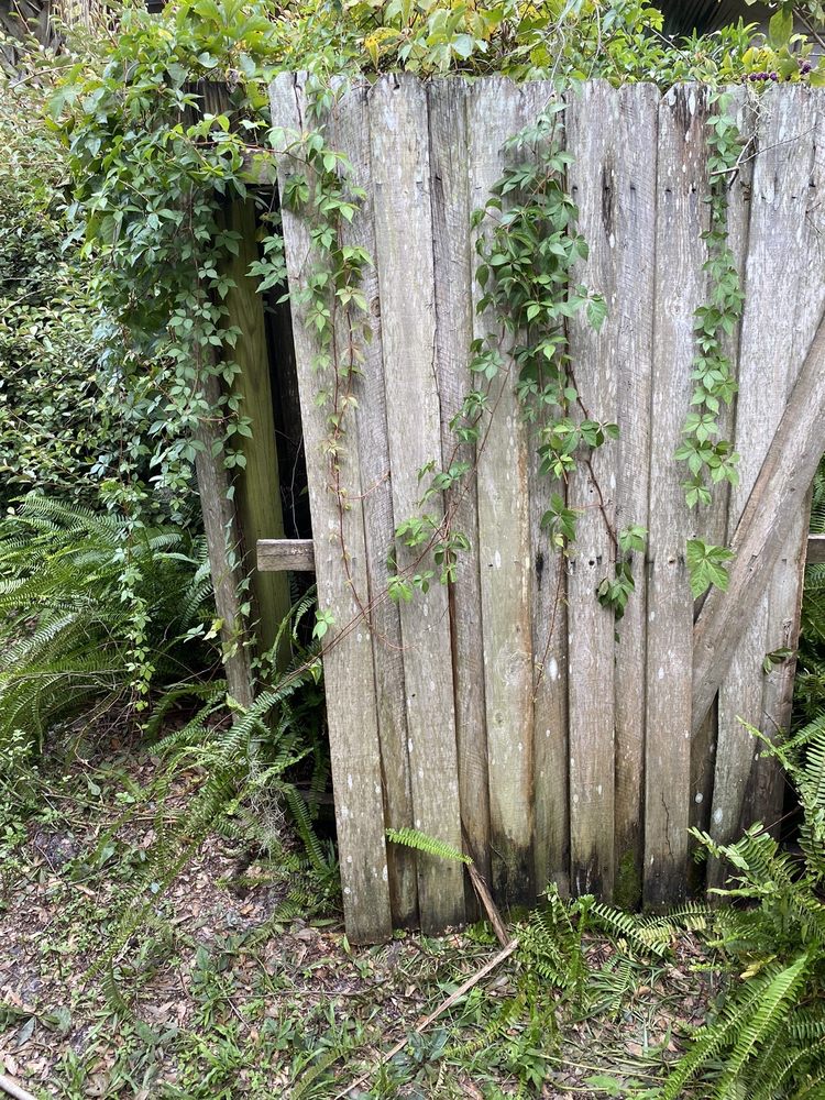 A SUN STATE TREE SERVICE - Updated August 2024 - 18 Reviews - 1580 S US ...