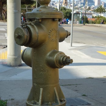 THE GOLDEN FIRE HYDRANT - Updated July 2025 - 52 Photos & 14 Reviews ...