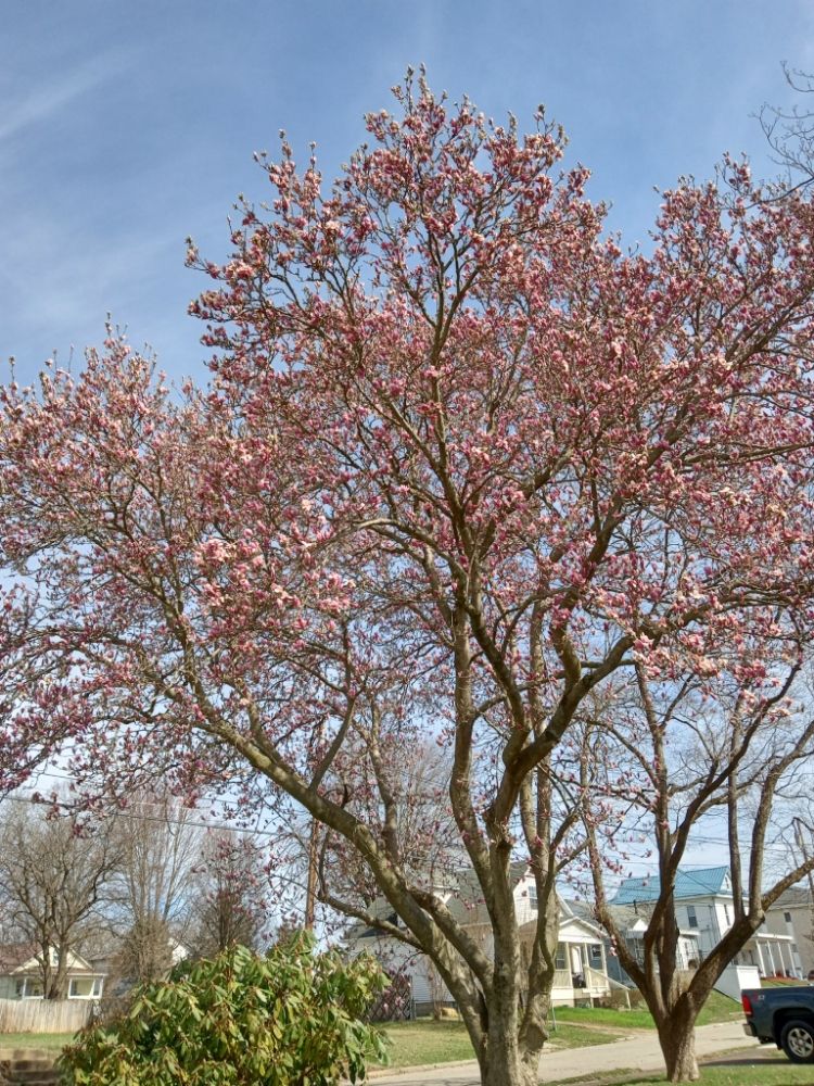 ERRAND HELP - Updated August 2024 - Request Consultation - Parkersburg ...