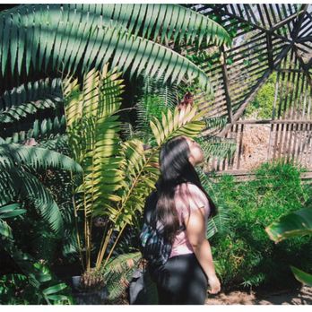 UCR BOTANIC GARDENS - Updated January 2025 - 604 Photos & 125 Reviews ...
