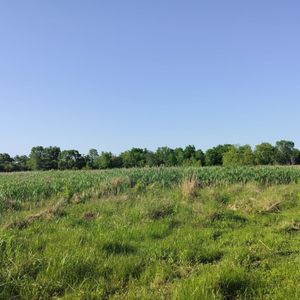 CHRISTIA V ADAIR PARK - Updated August 2025 - 21 Photos - 15107 Cullen ...