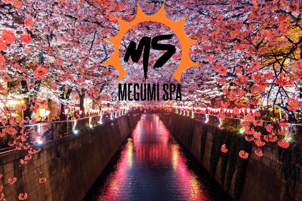 MEGUMI SPA - Updated September 2025 - 20 Photos - 103 Park St SE, Vienna, Virginia - Day Spas ...