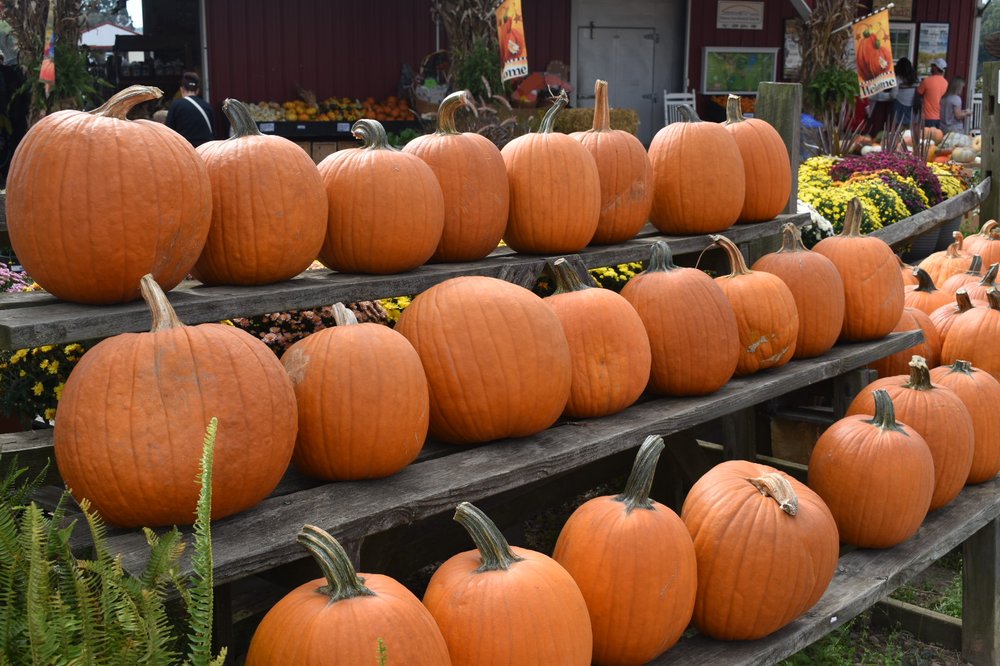 PATTERSON FARM MARKET & TOURS - 86 Photos & 23 Reviews - 10390 Caldwell ...