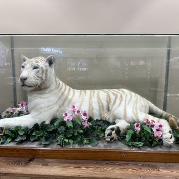 TIGER TRUCK STOP CAFE - Updated July 2025 - 87 Photos & 51 Reviews ...